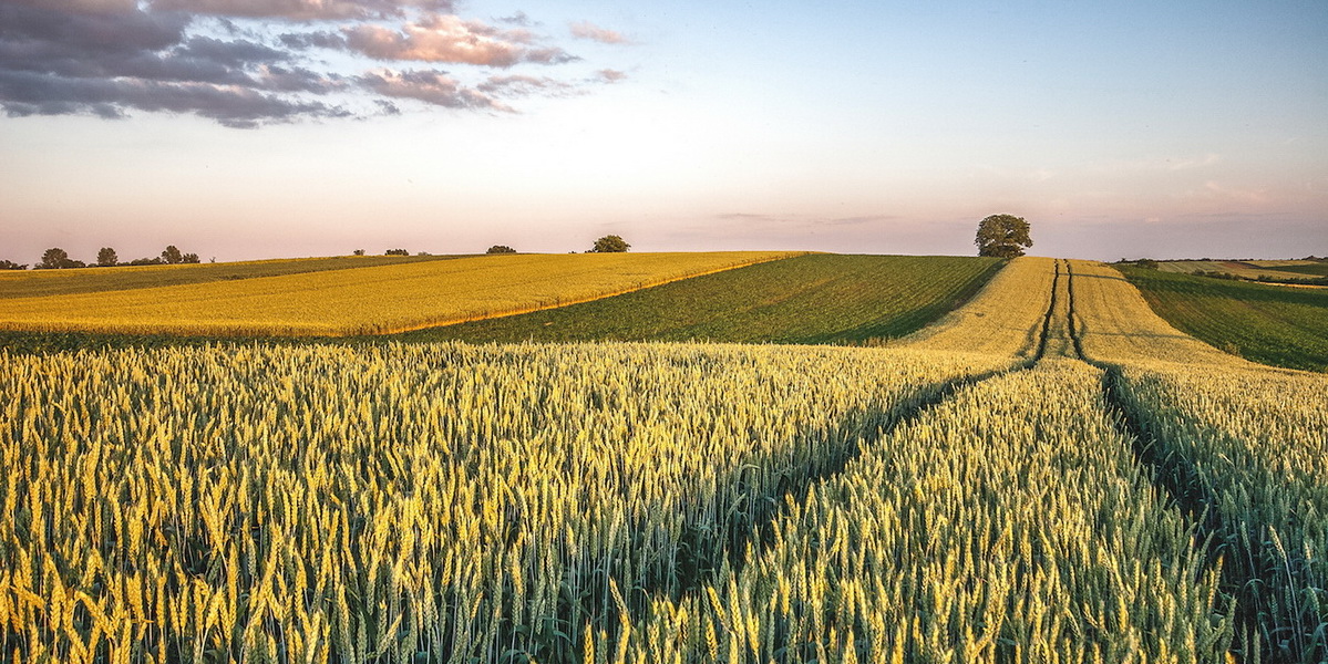 Godišnji odmor u Slavoniji-koja mjesta posjetiti - Gooma